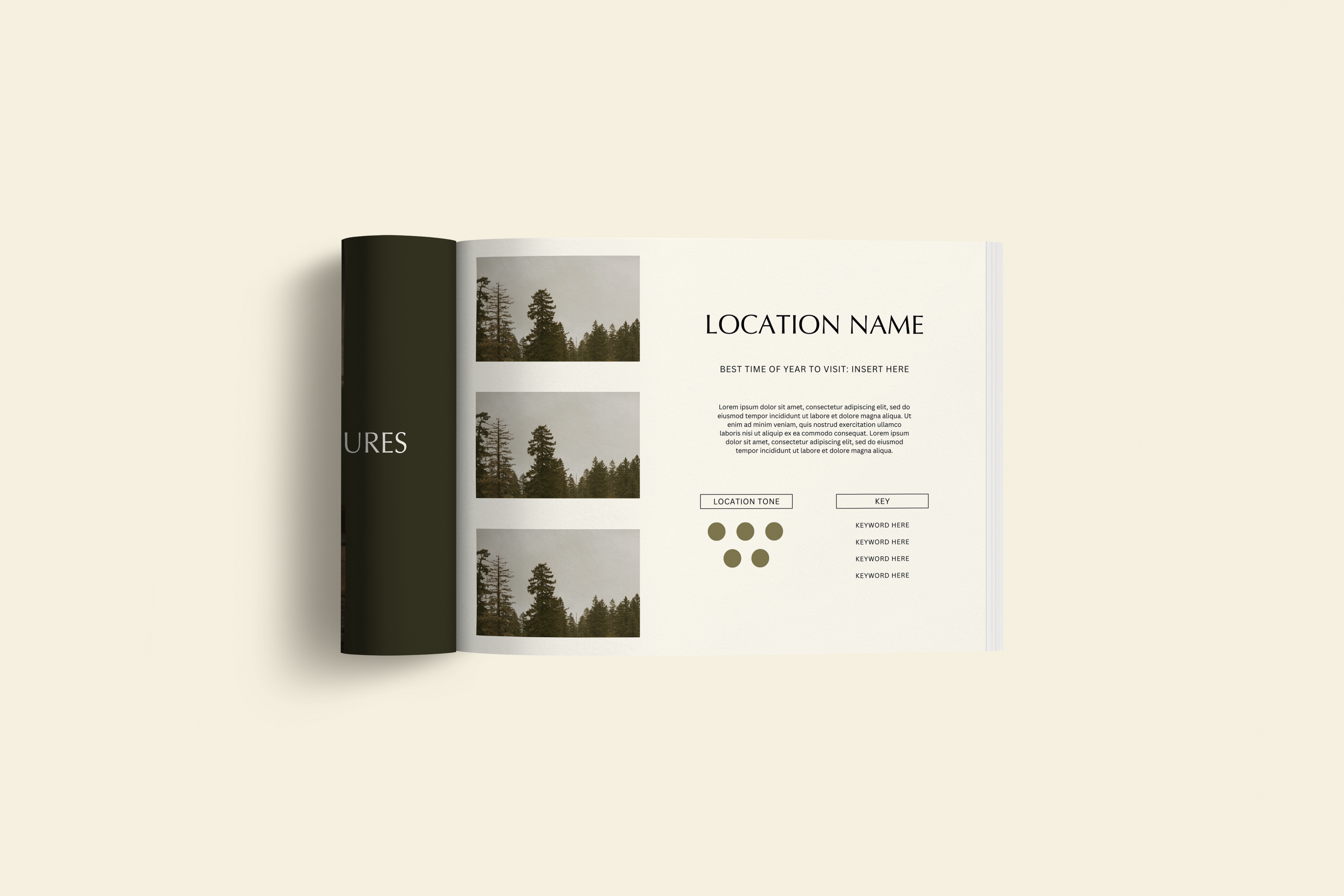 Location Guide Canva Template – Dawn Photo Education